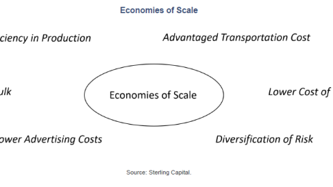 Individual Investors | Sterling Capital